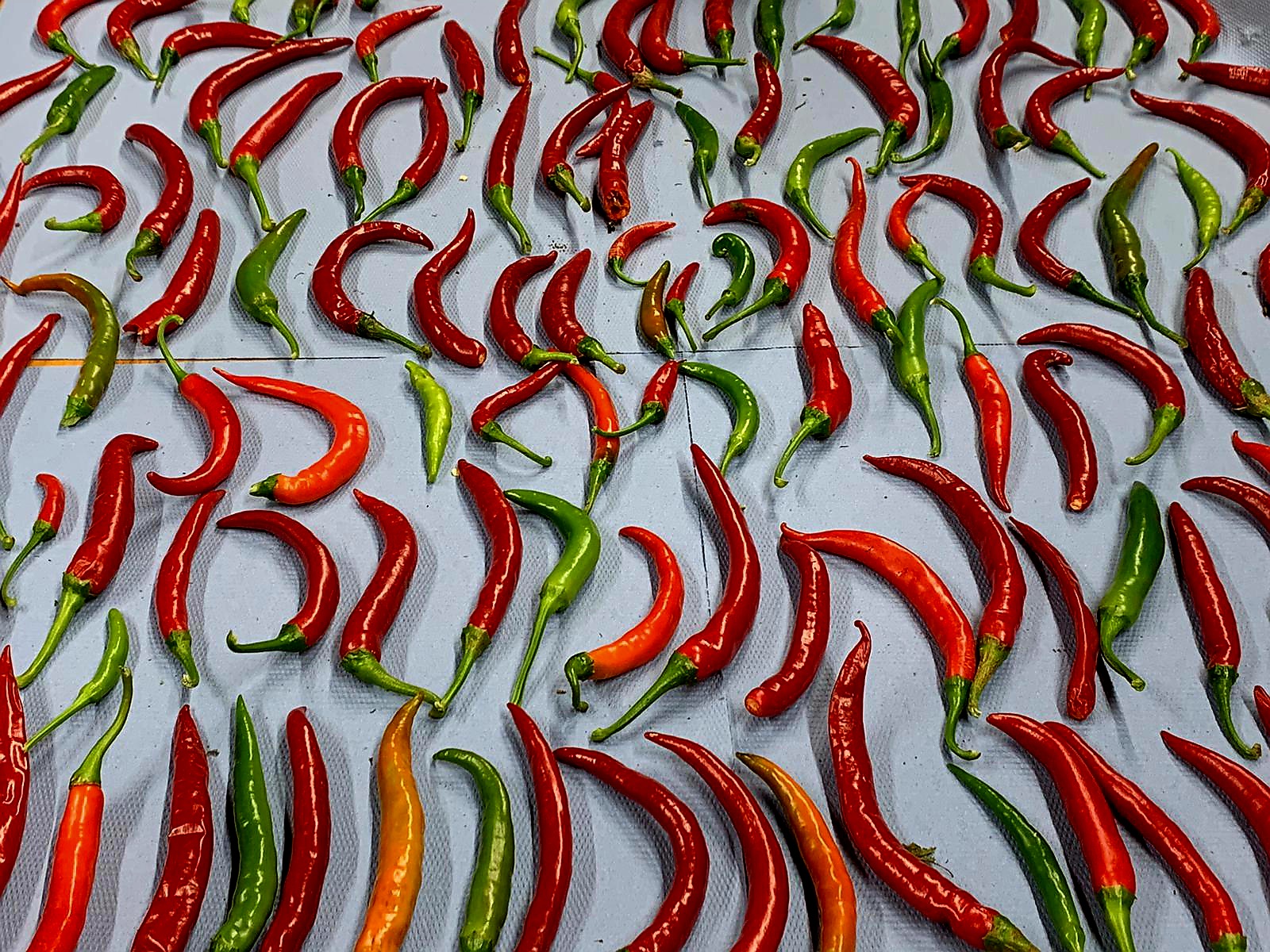 Der Sommer geht , der Herbst ist da - Gartengestaltung mit Naturstein ...